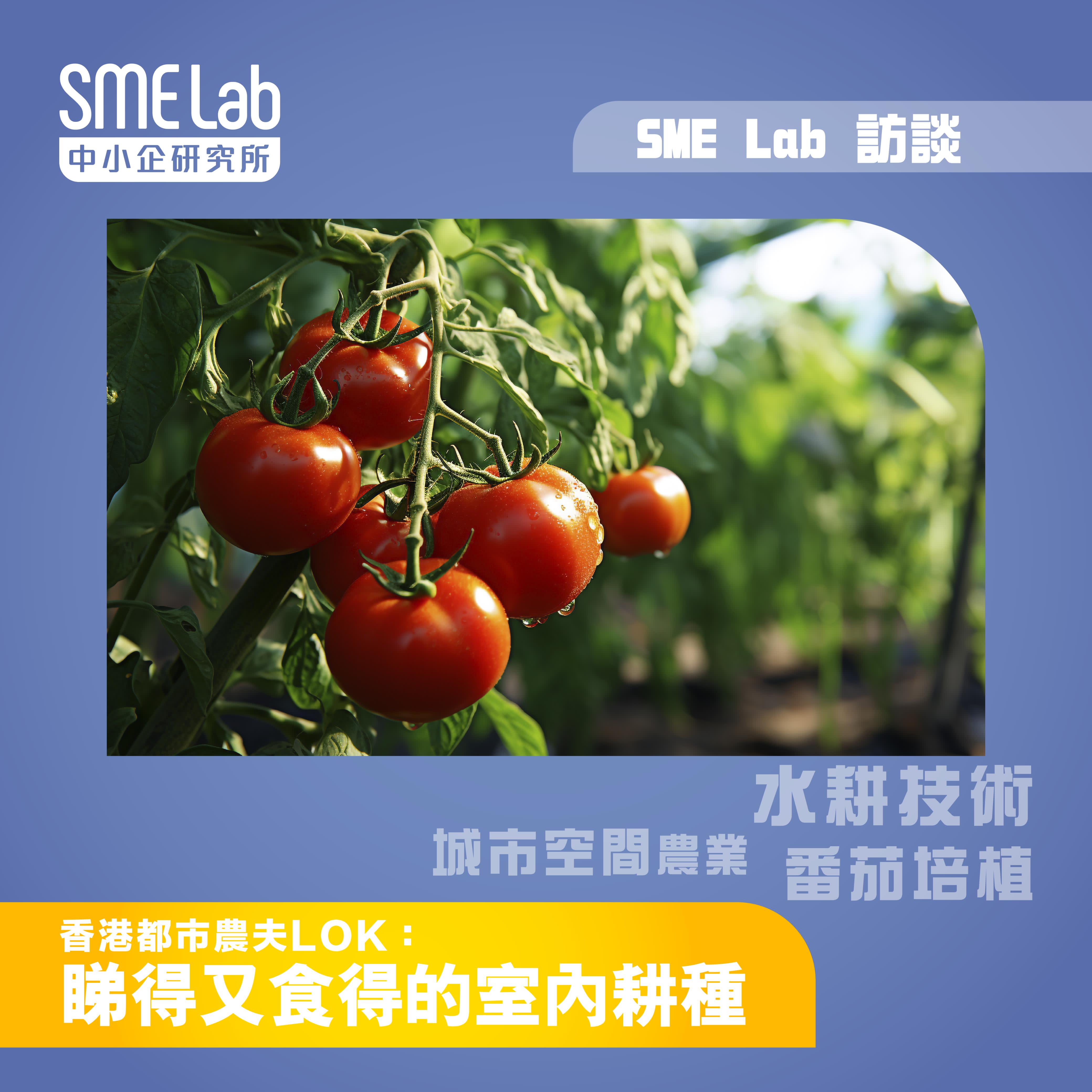 2502 SME Lab 訪談 : 香港都市農夫LOK
